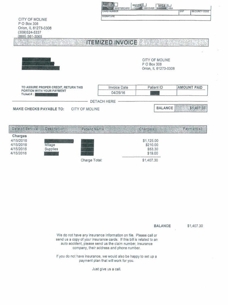 Moline City Invoice Payment Details | PDF