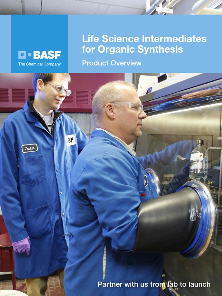 BASF ProductCatalog Inorganic-Specialties | PDF | Chemical Substances ...