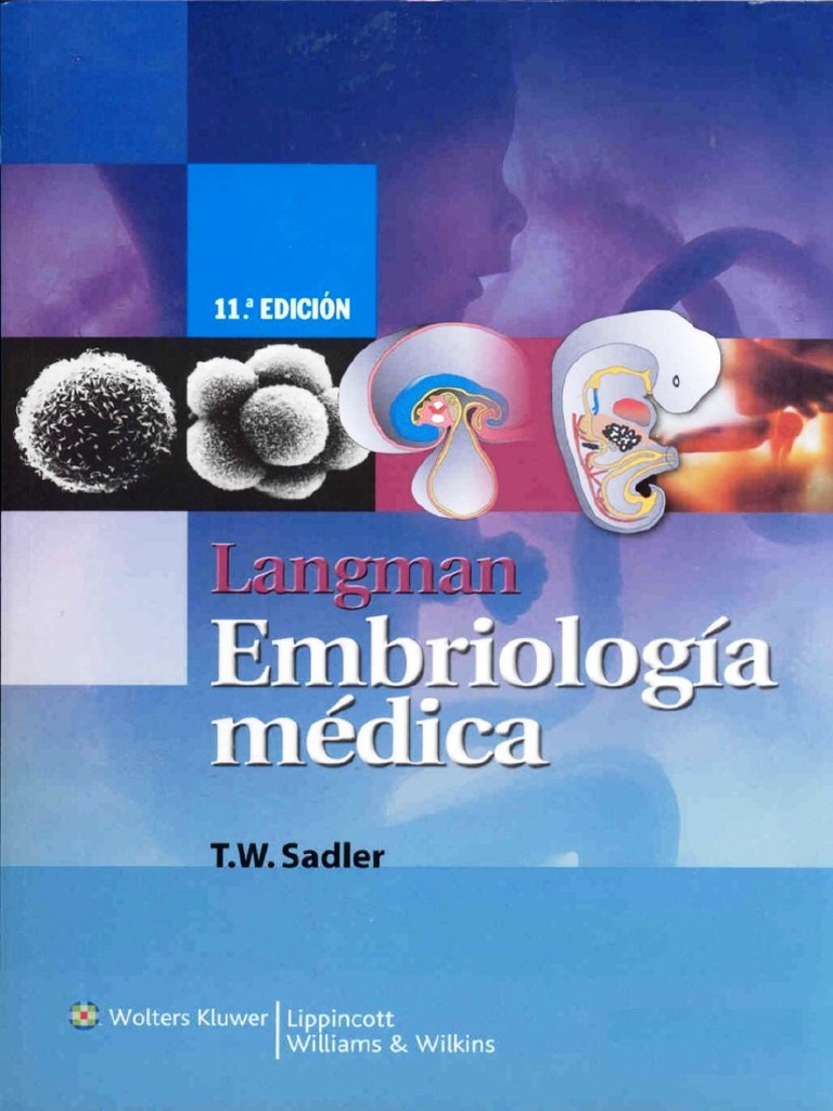 Embriología Médica - Langman - 11 Edición | PDF