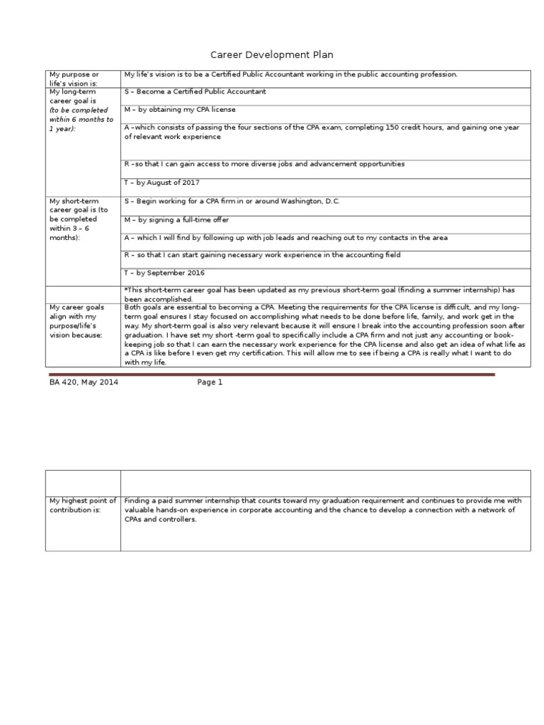 Career Development Plan | PDF | Certified Public Accountant | Accountant
