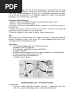 Skeletal System Concept Map | PDF | Skeleton | Bone
