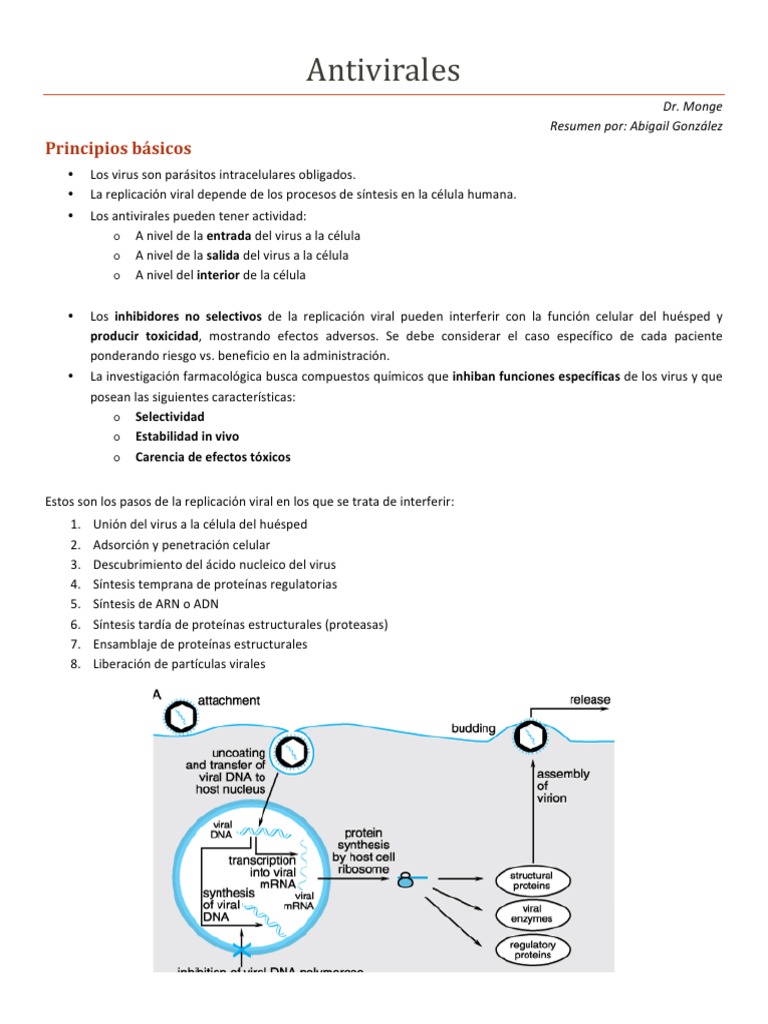 Antivirales: Mecanismos y Medicamentos | PDF | Virus | Hepatitis