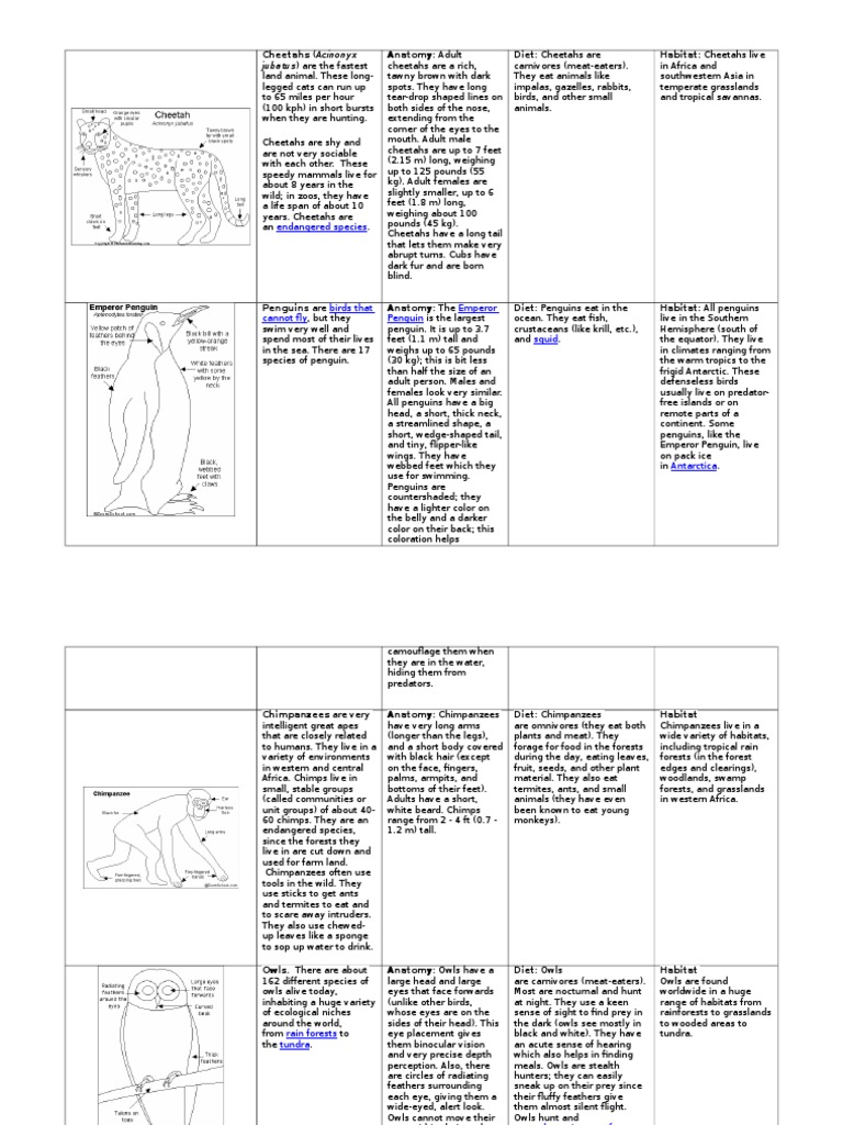 CLIL - Animals - Features | PDF | Owl | Penguin