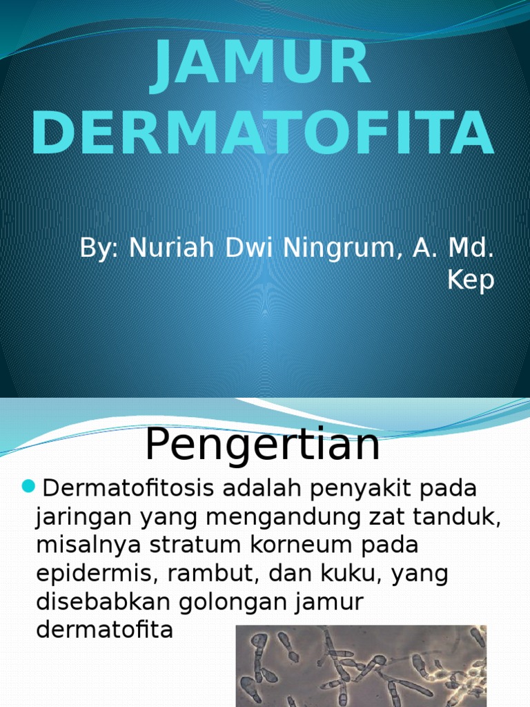 Jamur Dermatofita - Perumperindo.co.id