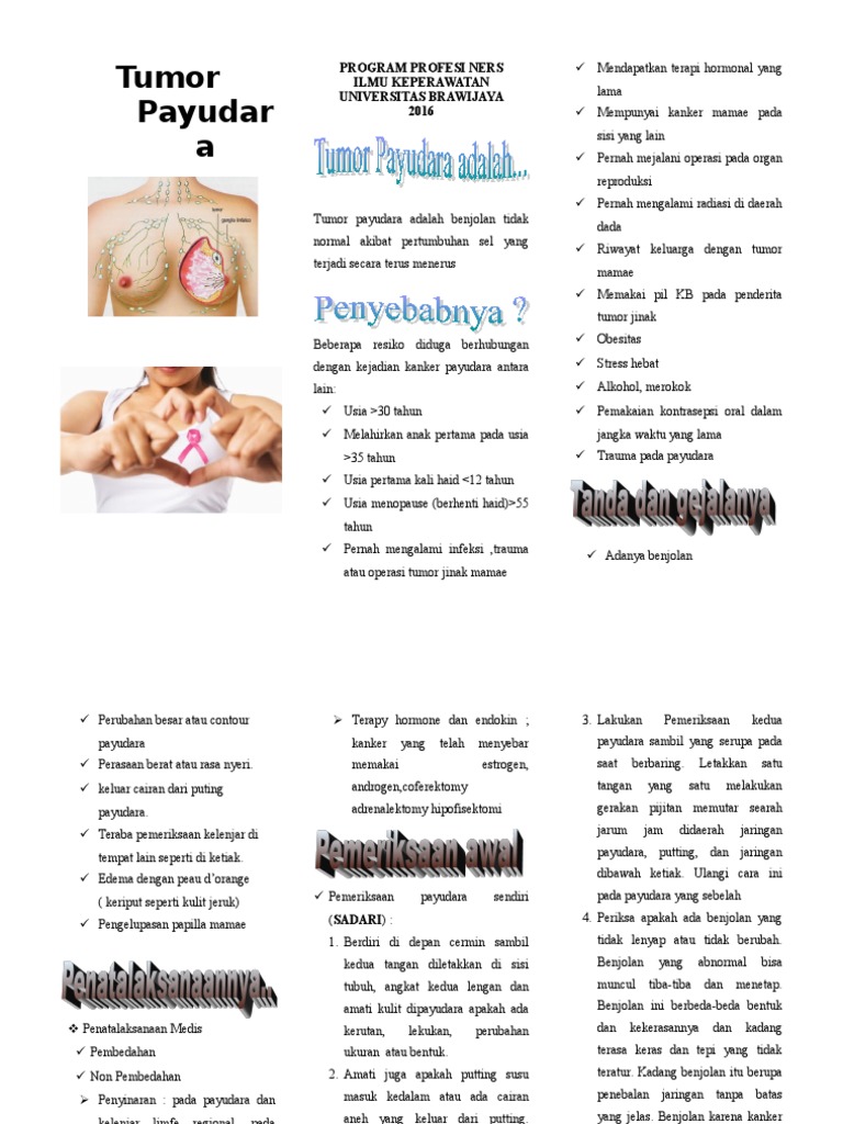 Leaflet Kanker Payudara | PDF