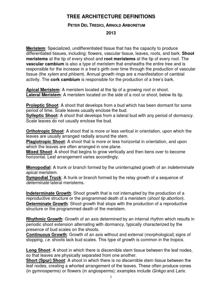 An In-Depth Look at Tree Architecture and Growth: A Summary of Key ...