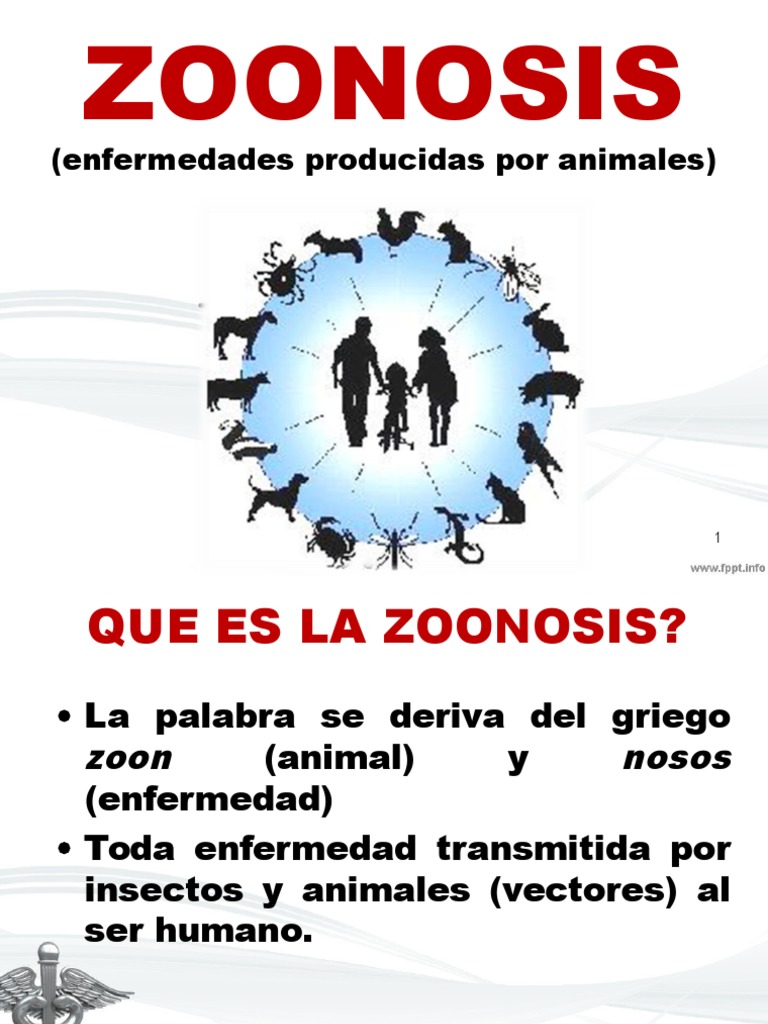 ZOONOSIS