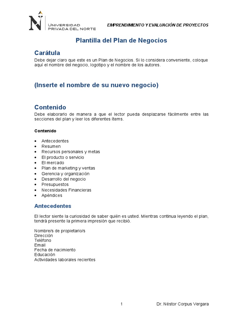 Plantilla de Plan de Negocios | PDF | Presupuesto | Marketing