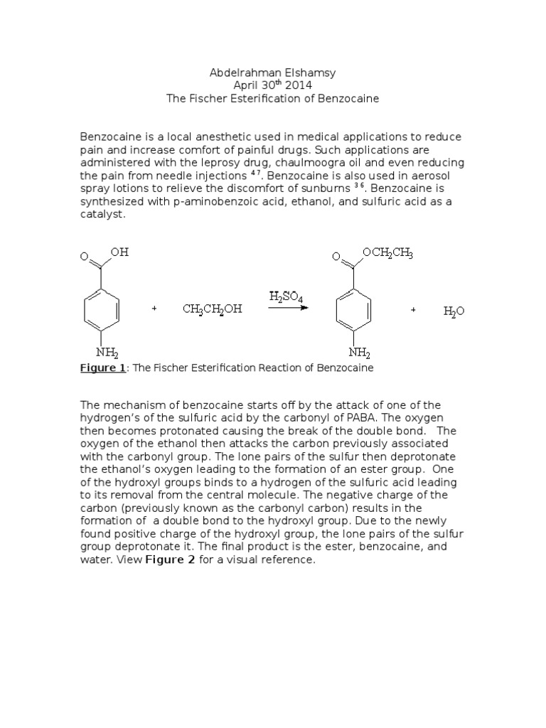 The Fischer Esterification of Benzocaine | PDF | Ester | Acid
