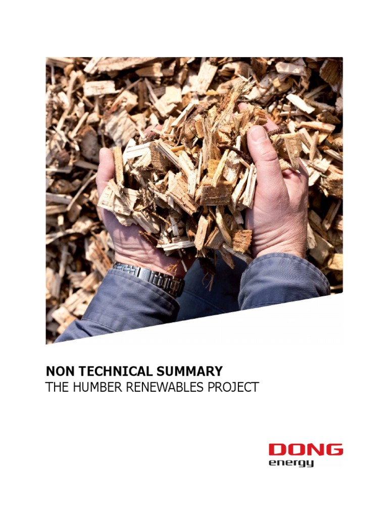 Non Technical Summary (15 Pages) | PDF | Power Station | Climate Change ...