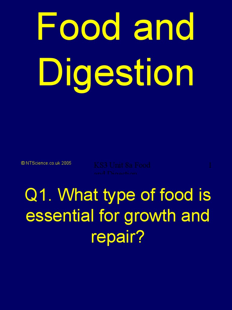 8a Food Digestion Science Quiz | PDF | Digestion | Gastrointestinal Tract