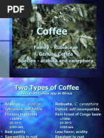 Introduction To Coffee | PDF | Coffee | Plants