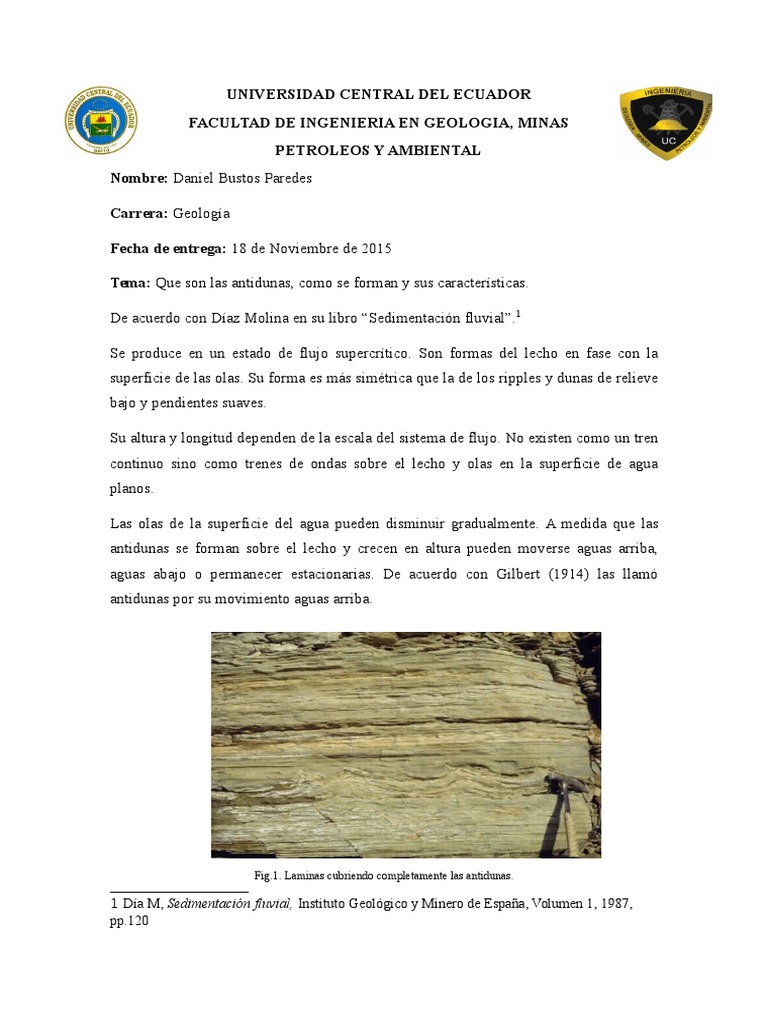 Características y Formación de Antidunas | PDF | Estrato | Geología