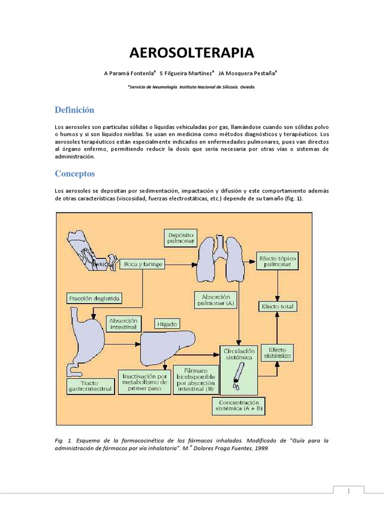 Guía de Aerosolterapia Pulmonar | PDF | Medicamentos con receta | Aerosol
