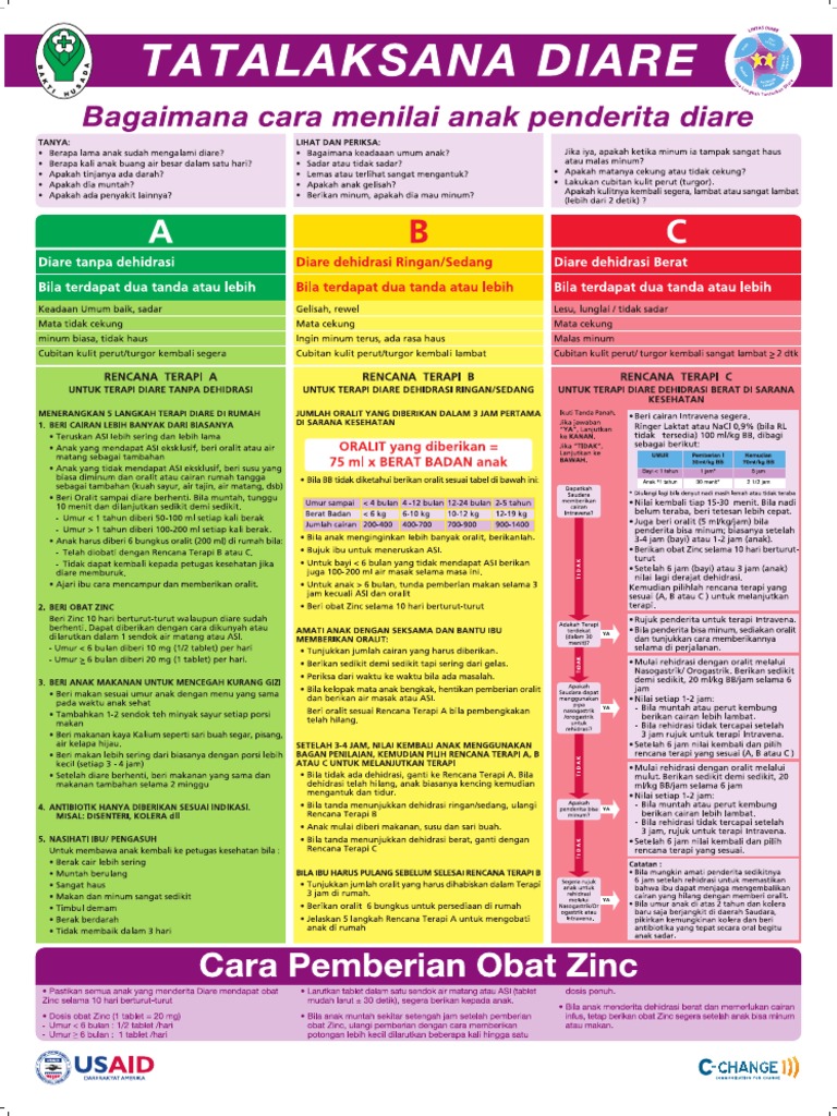 Poster Tata Laksana Diare PDF | PDF