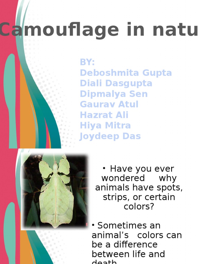Understanding Animal Camouflage Techniques | PDF | Camouflage | Mimicry