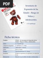 STAXI-2 Corrección e Interpretación | PDF
