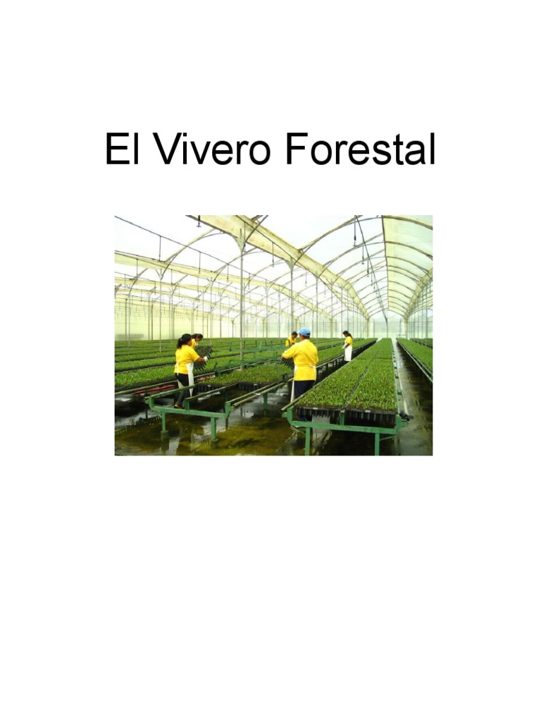 El Vivero Forestal Los Bosques Arboles Prueba Gratuita De 30 Días