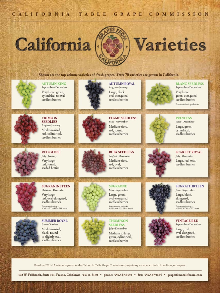 California Table Grape Varieties Guide | PDF | Berry | Grape