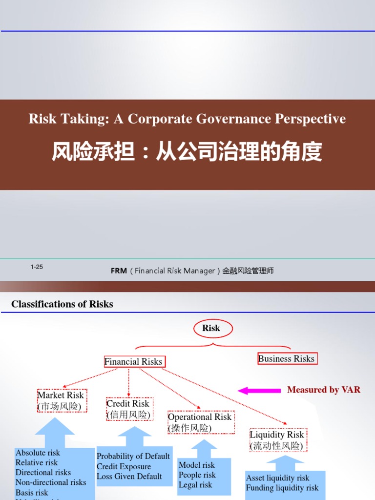 1.3_Risk+Taking+A+Corporate+Governance+Perspective+风险承担%3A公司治理的角度 ...
