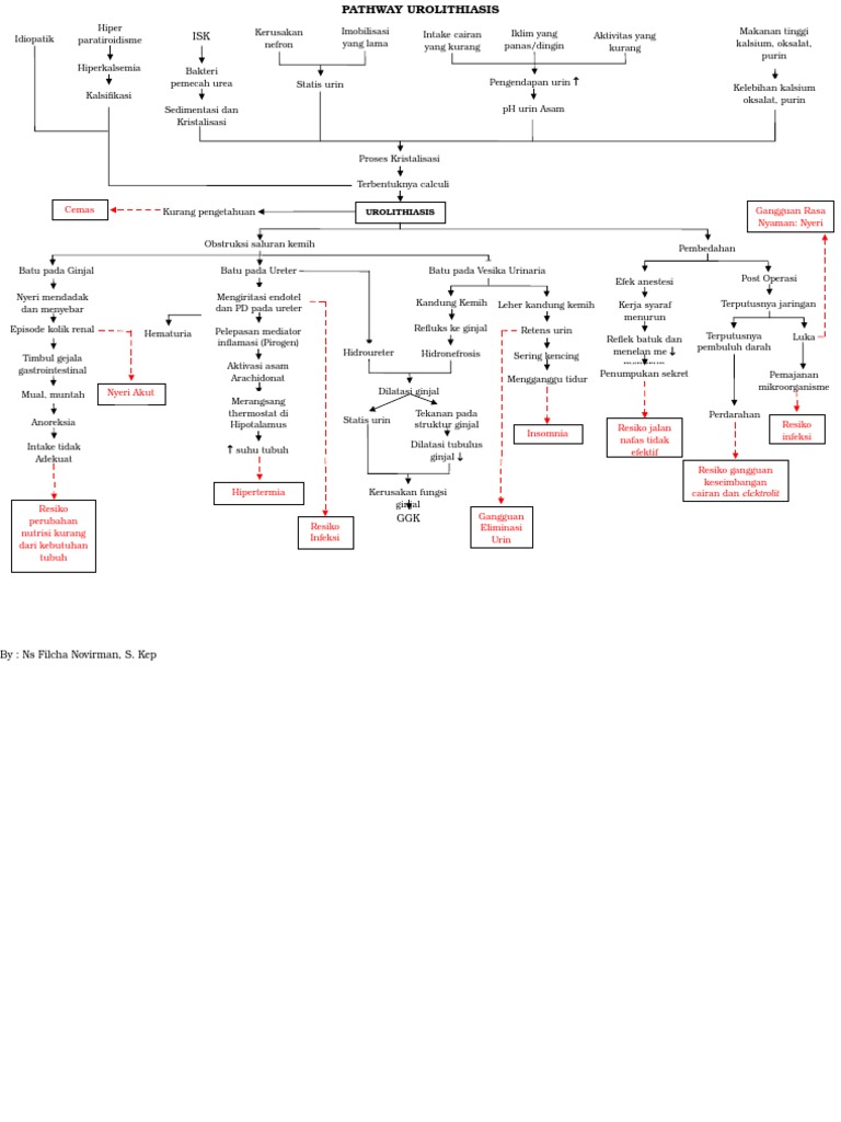 Pathway Urolithiasis Filcha | PDF