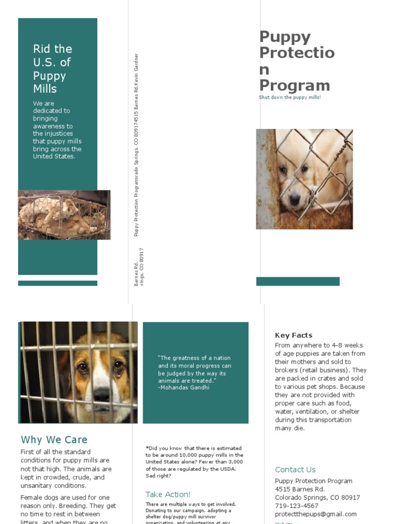 Puppy Mill Brochure | PDF