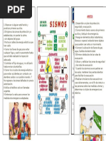 Triptico Terremoto | PDF | Temblores | Naturaleza