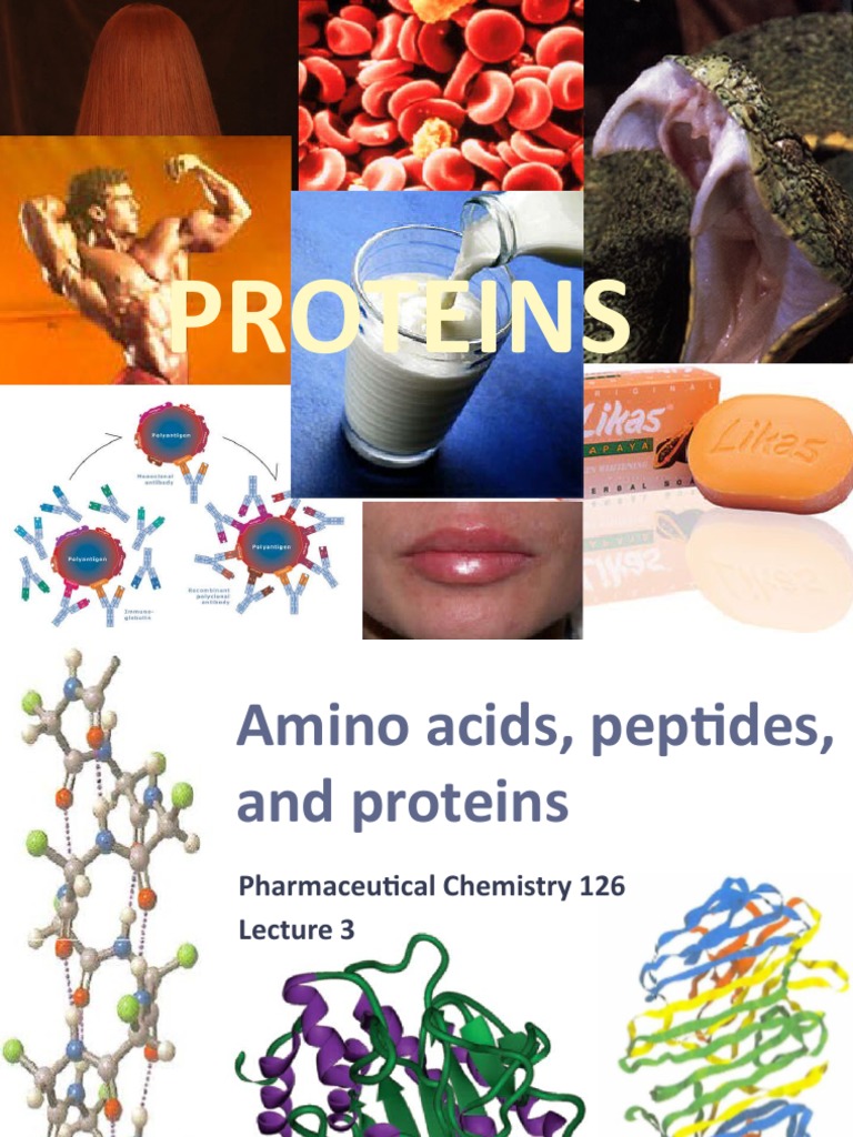 Amino Acids, Peptides, and Proteins | PDF | Beta Sheet | Alpha Helix