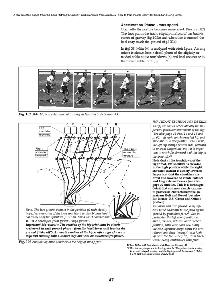 Sprint | Running | Human Anatomy