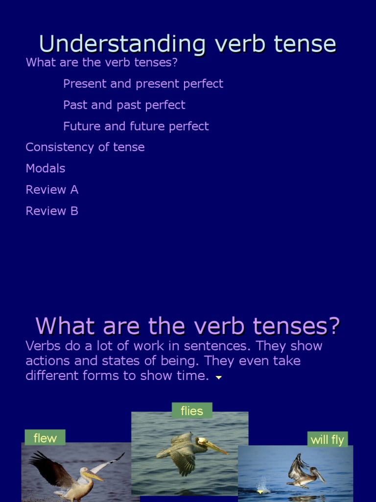Understanding Verb Tense | Perfect (Grammar) | Grammatical Tense