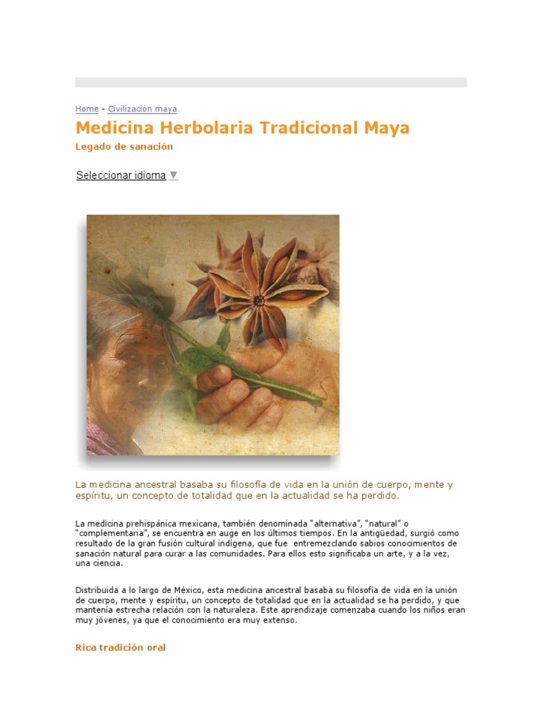 Medicina Maya | PDF | Civilización maya | Chamanismo