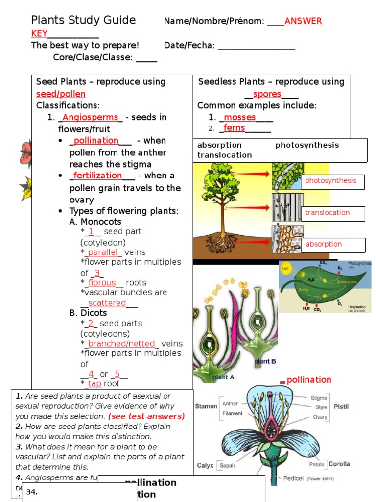 Plant Biology Study Guide and Key | PDF | Science & Mathematics