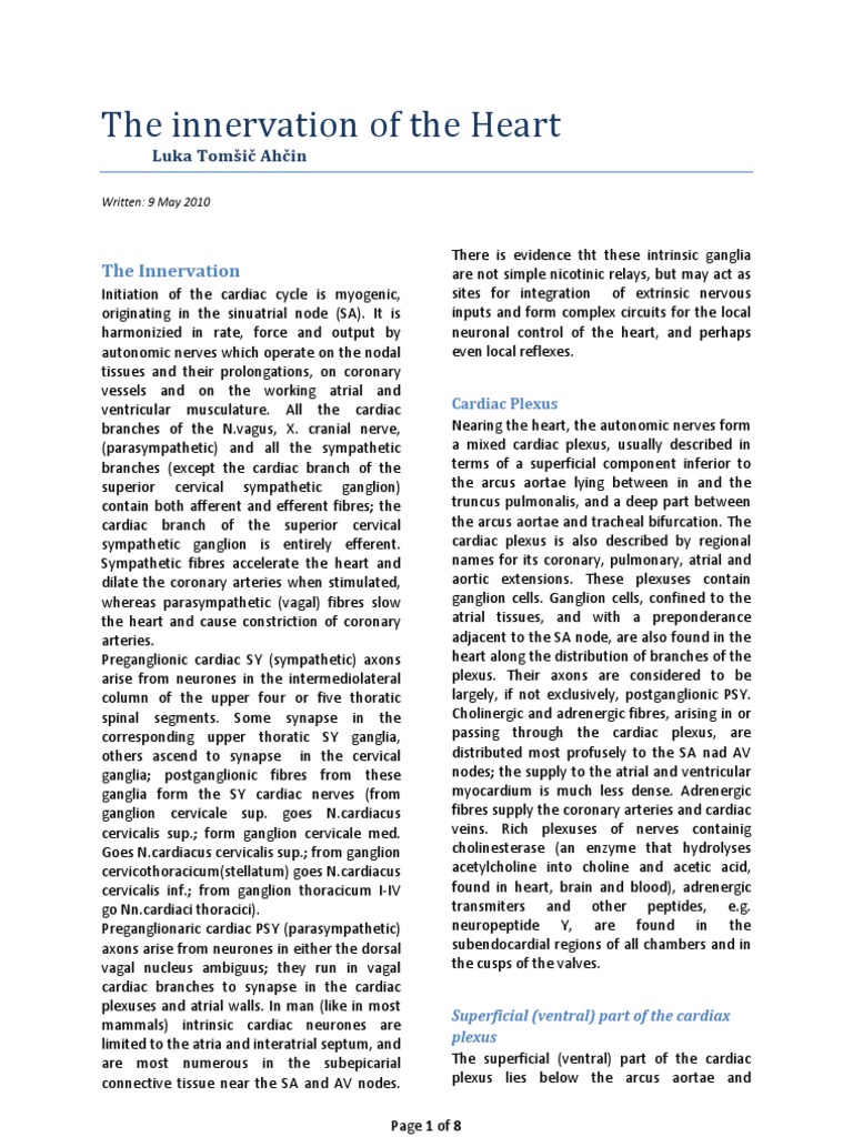 The Innervation of The Heart | PDF | Heart | Acetylcholine