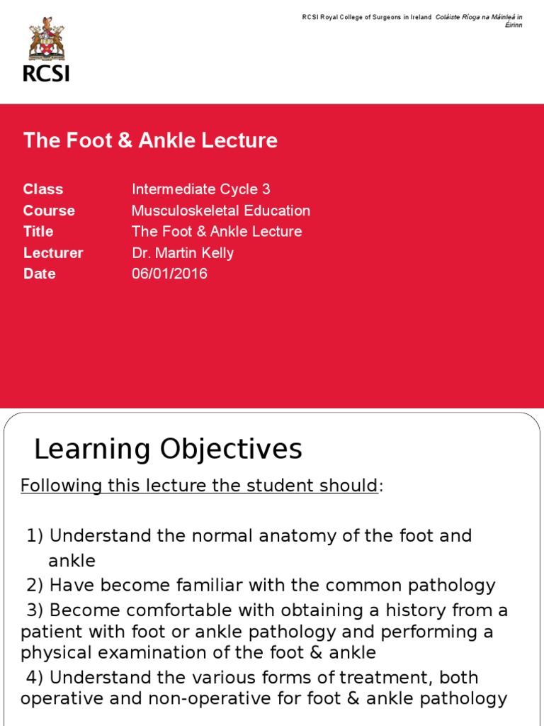 Foot and Ankle | PDF | Ankle | Foot