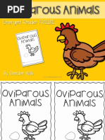Year 4 Module 8 Amazing Animals Worksheets | PDF | Tiger | Tyrannosaurus