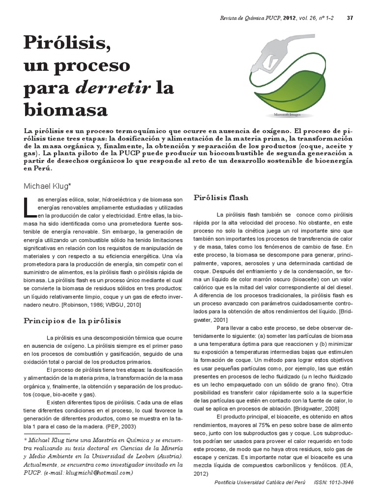 Pirólisis Flash de Biomasa en PUCP | PDF | Pirólisis | Biomasa