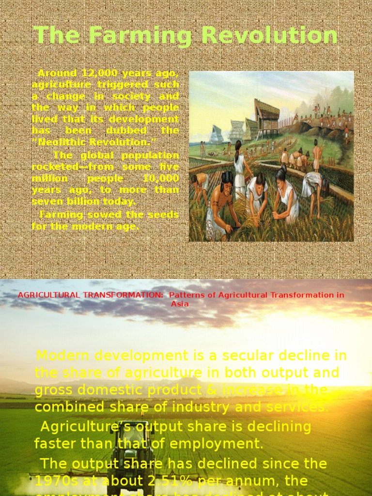 The Farming Revolution | PDF | Literacy | Agriculture