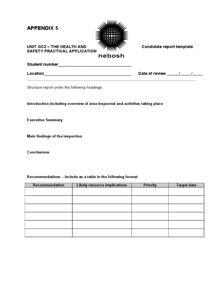 Candidate Report Template Overview | PDF