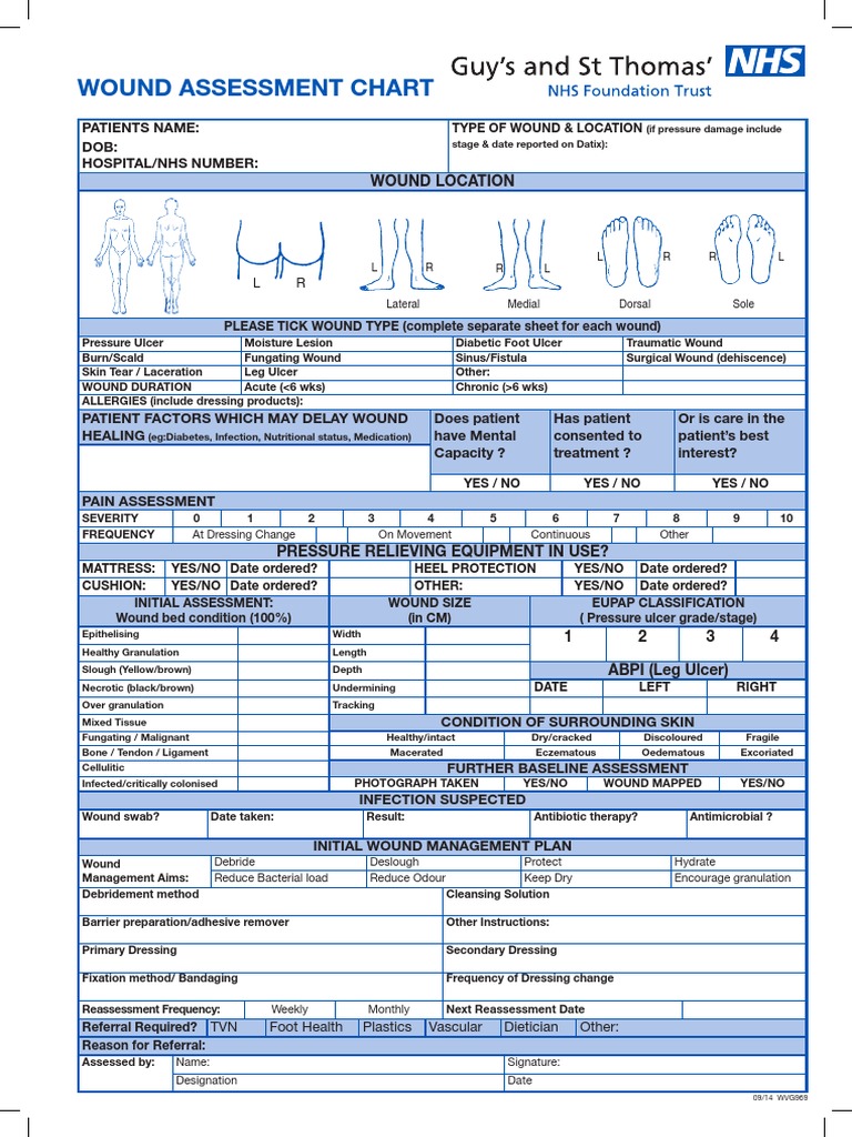 Wound Assessment Chart Template