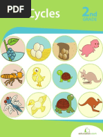 Year 4 Module 8 Amazing Animals Worksheets | PDF | Tiger | Tyrannosaurus