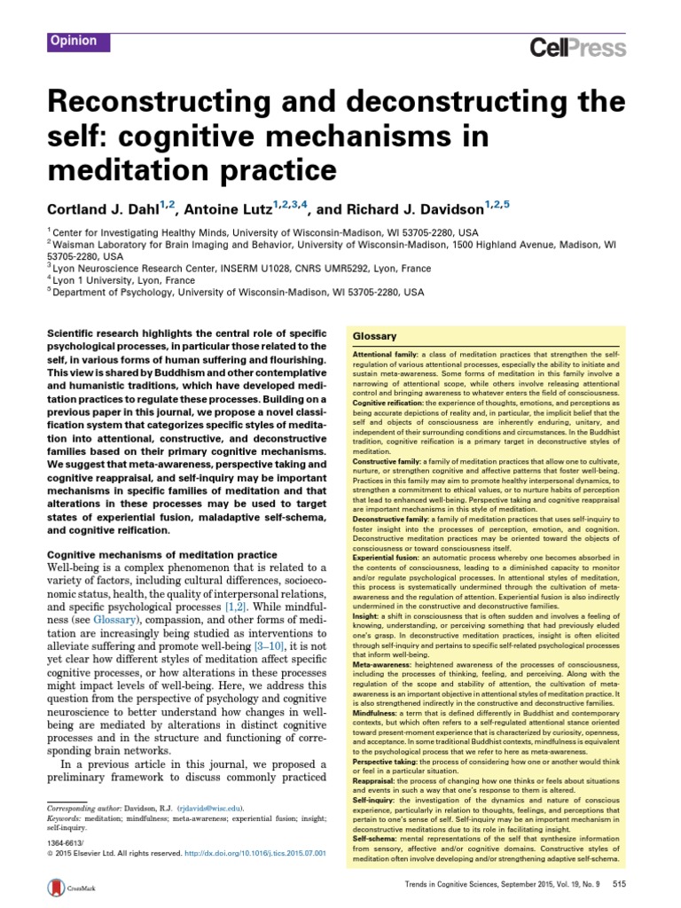 Reconstructing and Deconstructing The Self: Cognitive Mechanisms in ...