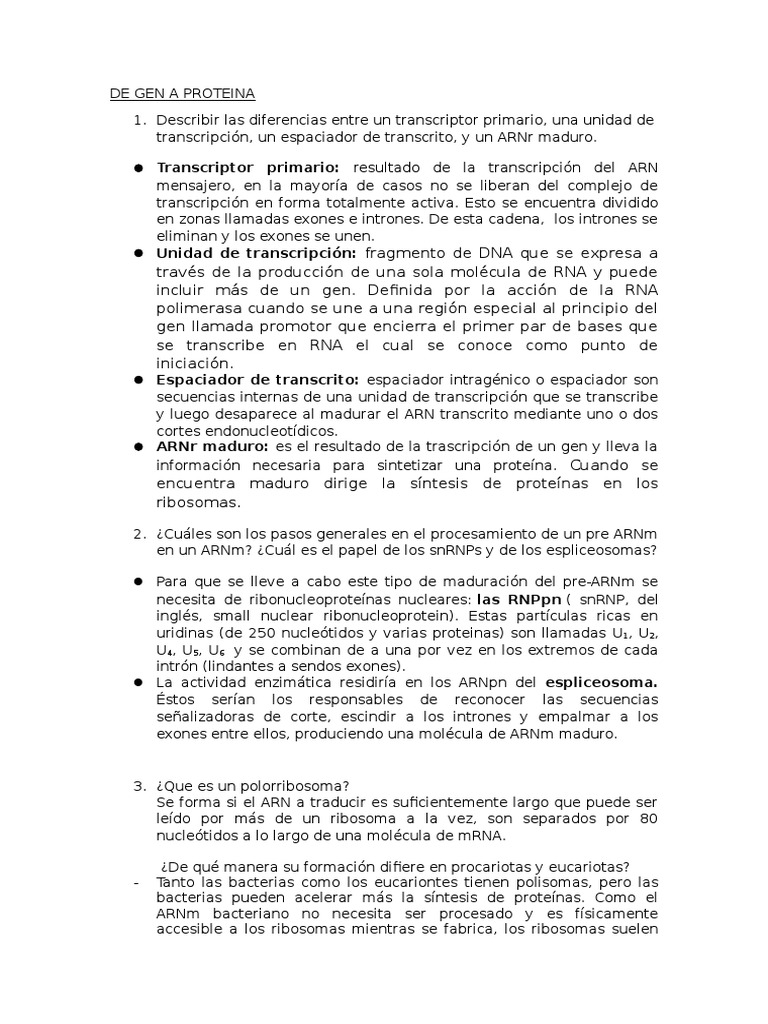 De Gen a Proteína: Procesos Clave | PDF | Rna | Messenger Rna
