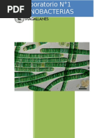 Radiolarios: Taxonomía y Aplicaciones | PDF | Biología Celular | Anatomía