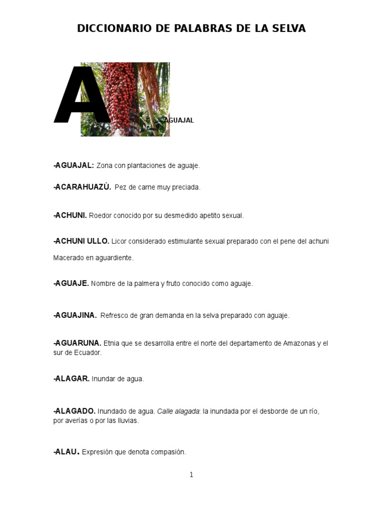 Diccionario de Palabras de la Selva | PDF | Naturaleza | Alimentos