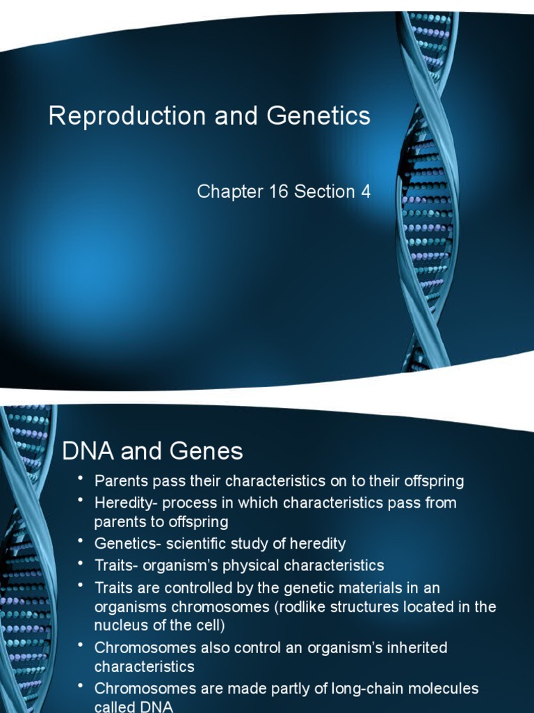 Reproduction and Genetics: Chapter 16 Section 4 | PDF | Nature | Gene