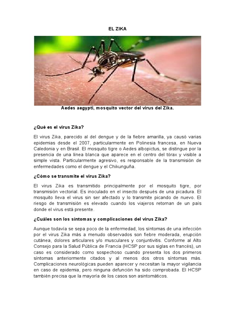 EL ZIKA.docx | Fiebre del zika | Virus Zika