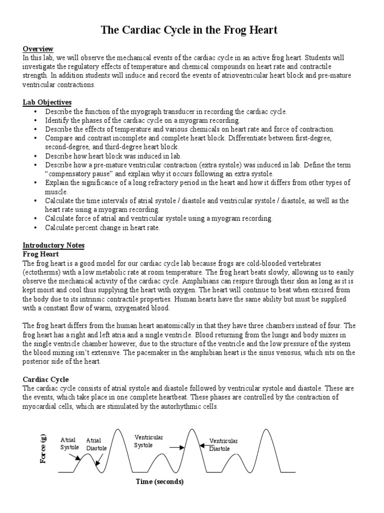 Cardiac Cycle Lab-1 | PDF | Heart | Atrium (Heart)