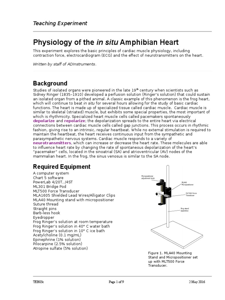 Frog Heart Protocol | PDF | Heart Rate | Acetylcholine