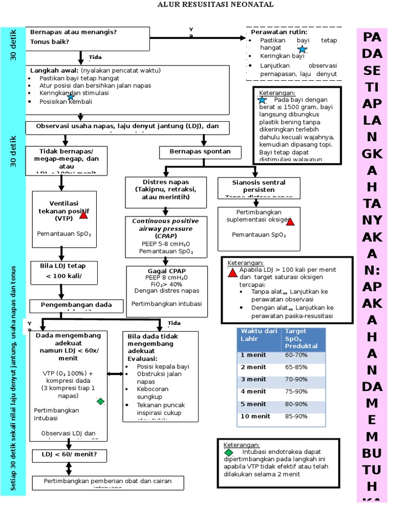 Alur Resusitasi Neonatal | PDF