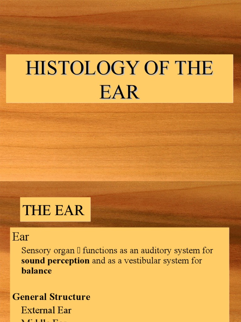 Histology of the Ear | Ear | Human Head And Neck